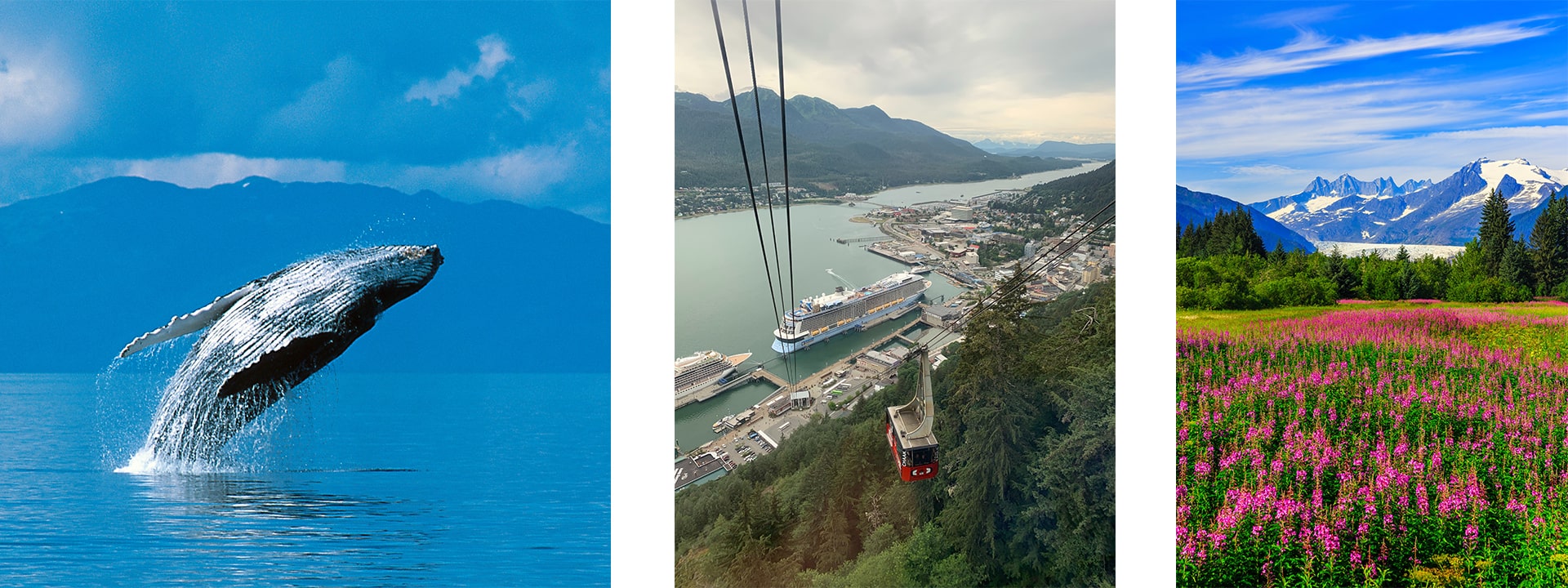 Pro Photographer Dream Destination Series: Alaska