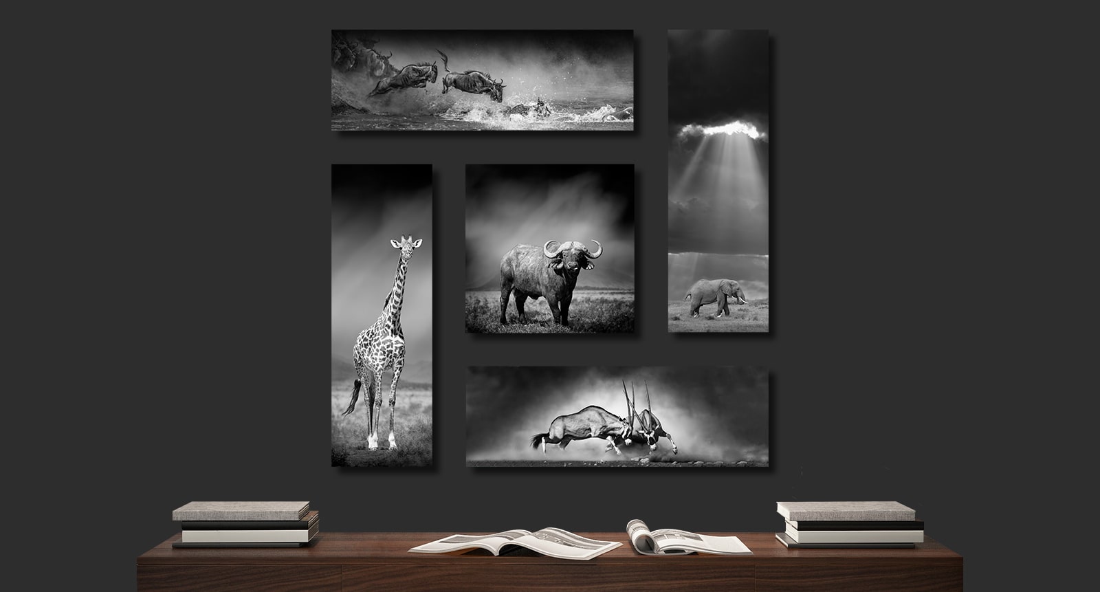 Pro Prints: Professional Photography Competition